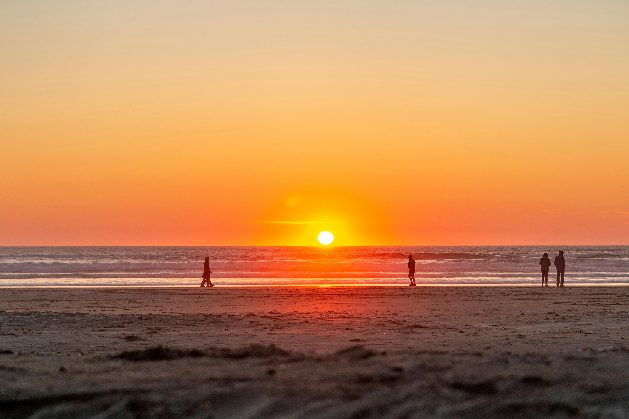 Why Stay at Bella Beach? Your Perfect Oregon Coast Escape Awaits ...